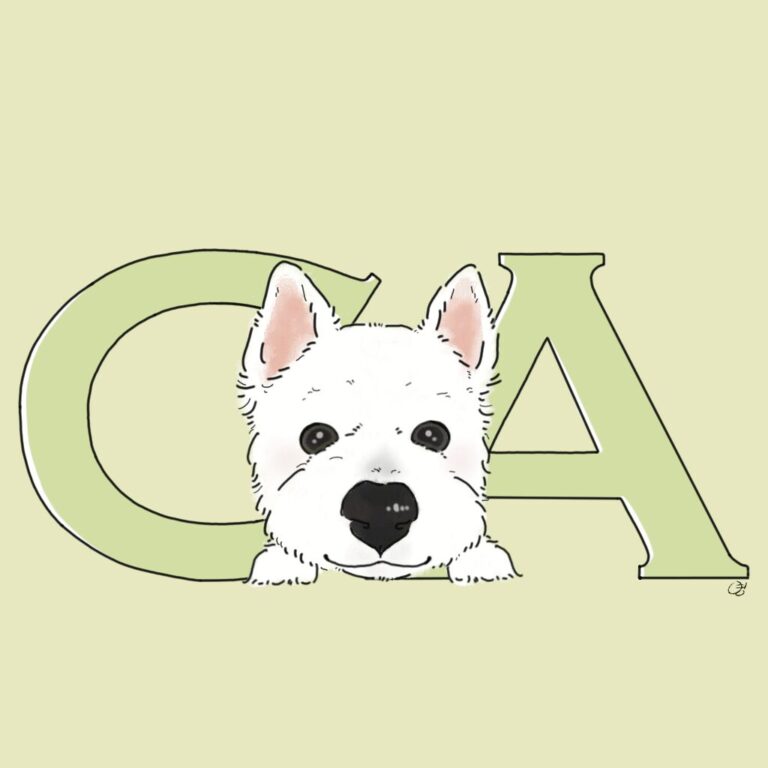 What is a Letter Pack? Japan Post’s Mailing Options: Letter Pack and ...